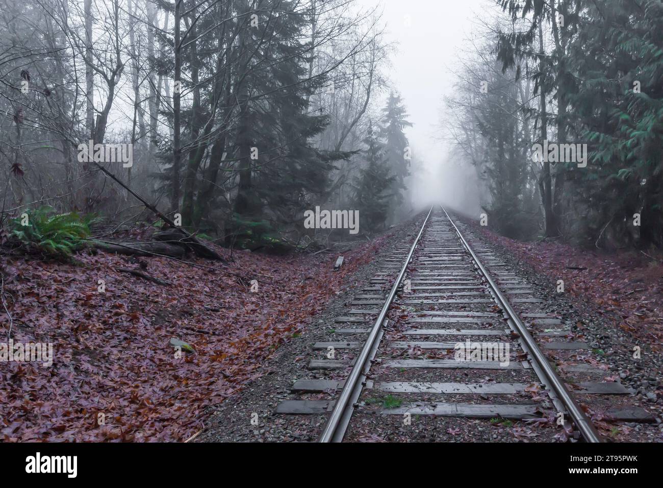 Wet railroad tracks hi-res stock photography and images - Alamy