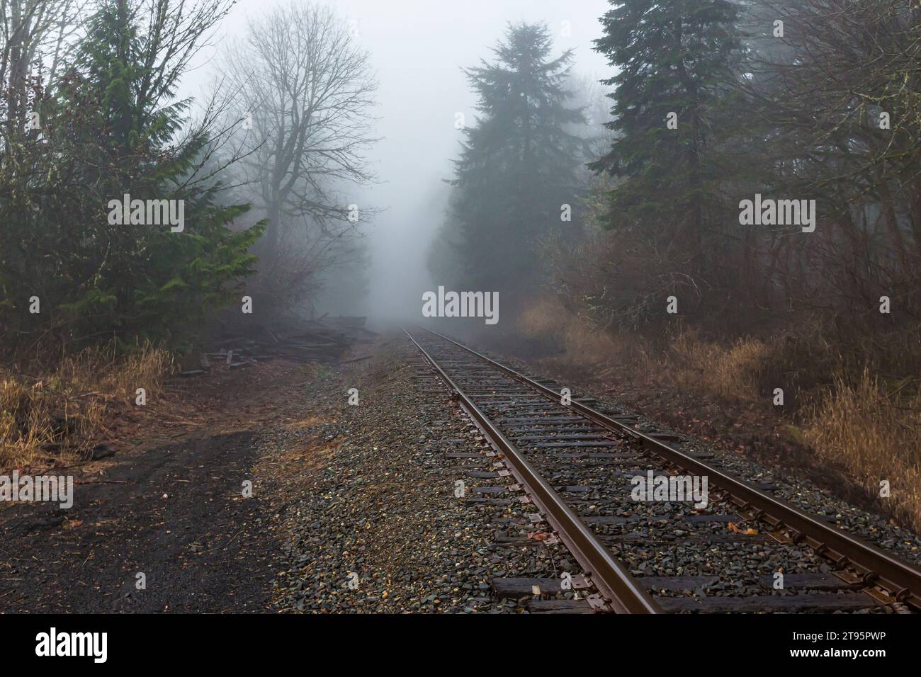 Wet railroad tracks hi-res stock photography and images - Alamy