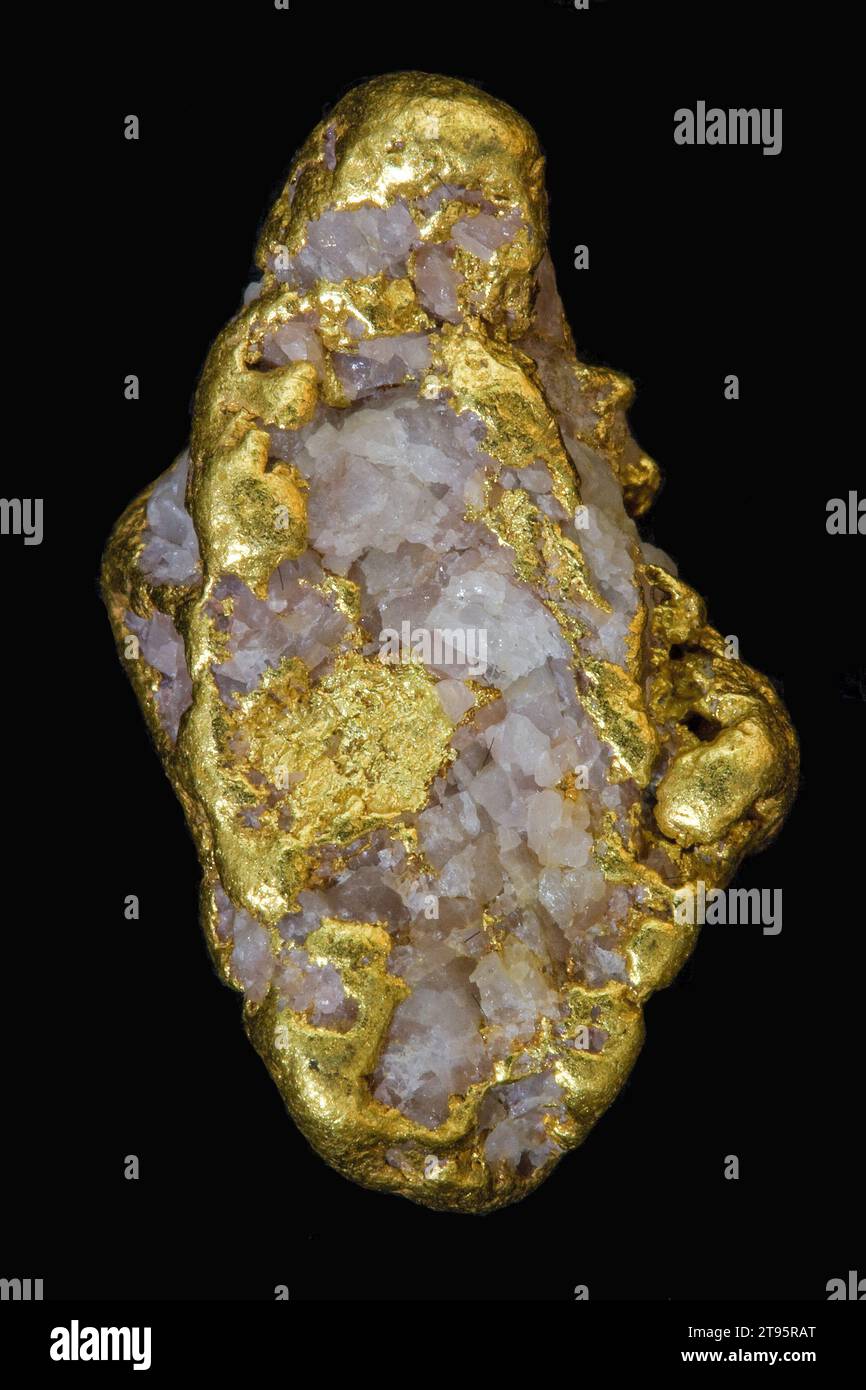 Natural Alaskan Gold / Quartz Specimen Stock Photo - Alamy