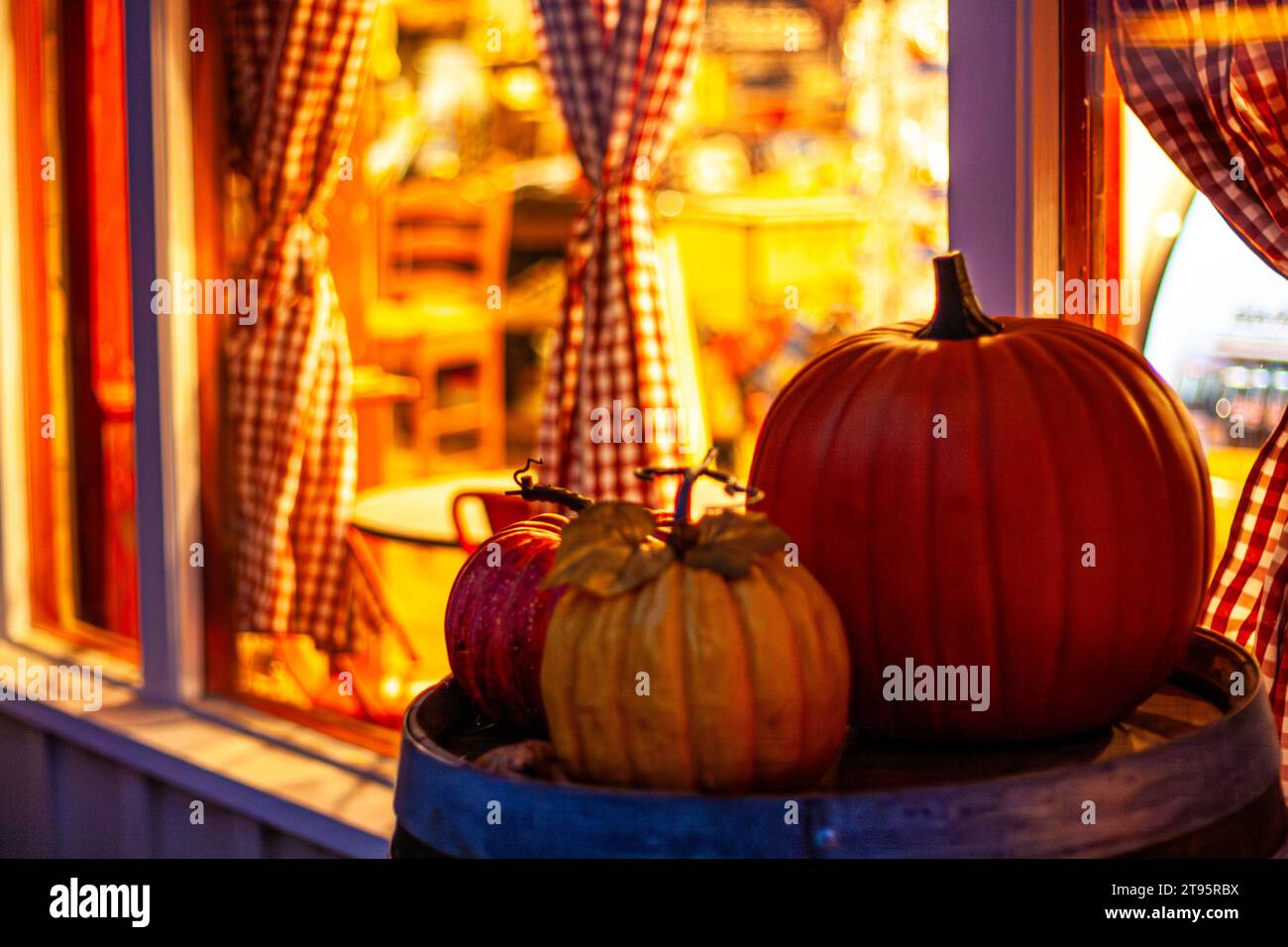 Pumpkins on a barrel outside a store with gingham curtains in the ...