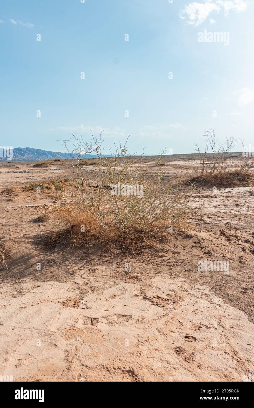 The arid and hot deserts of Xinjiang in western China Stock Photo - Alamy