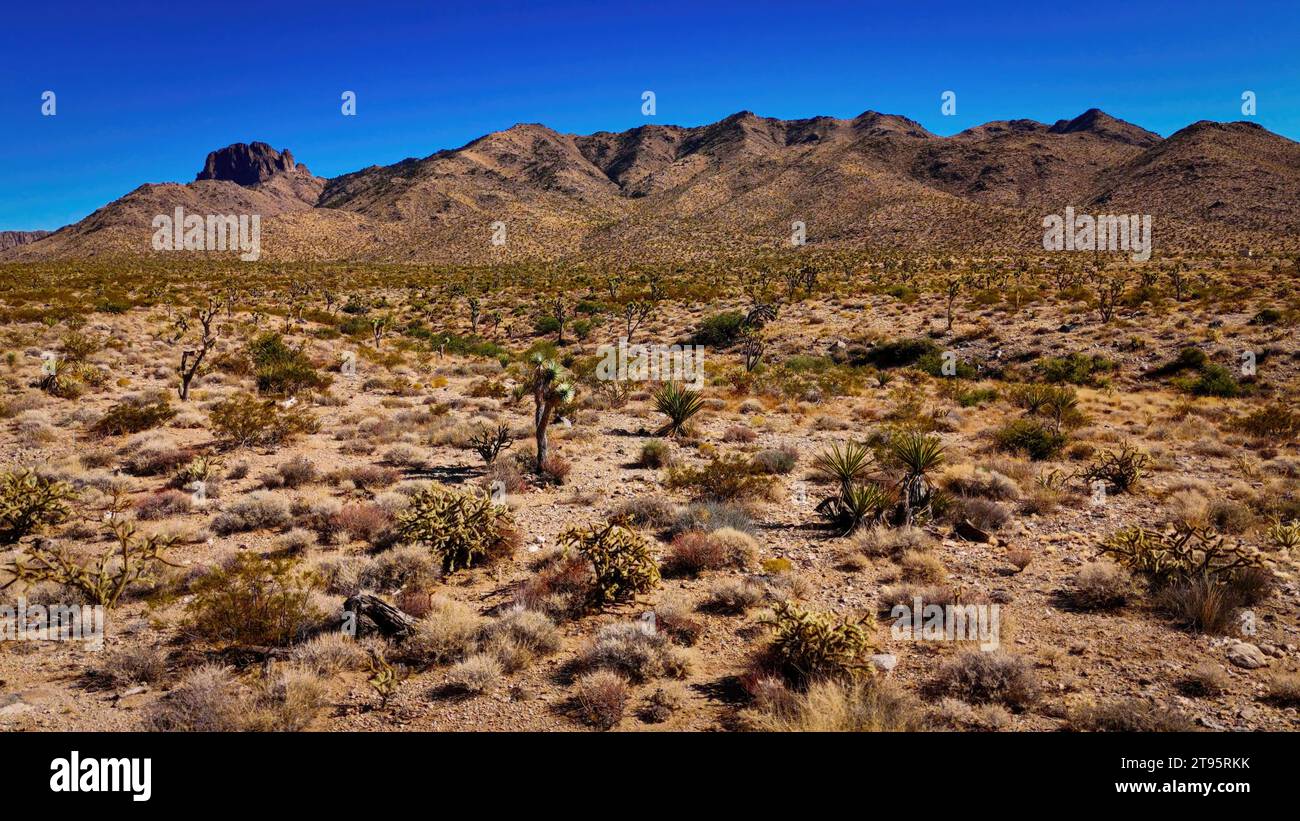 Desert of Arizona from above with its dry landscape - aerial view Stock ...
