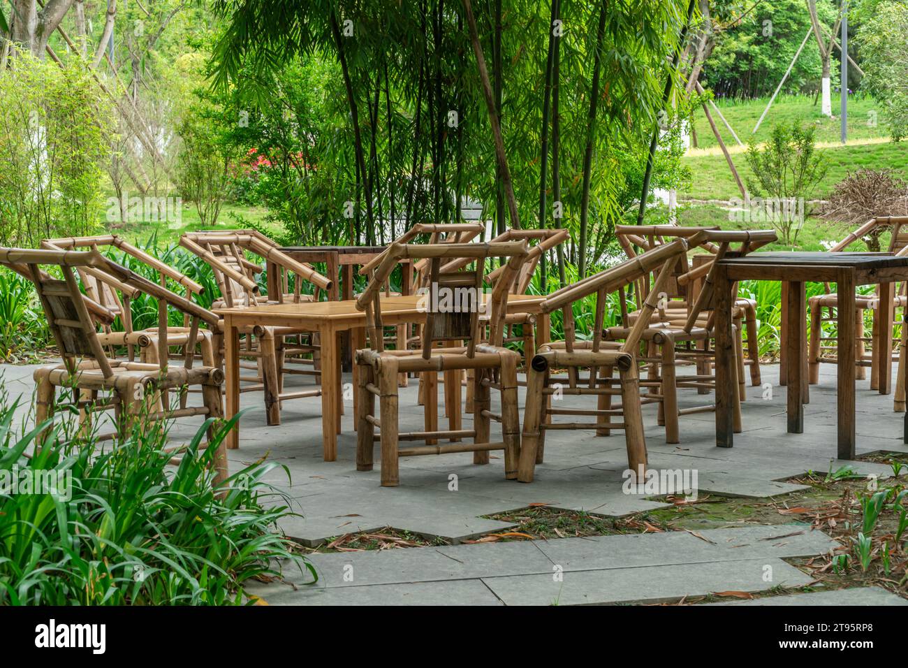 Bamboo seats for leisure tea drinking in Chengdu, Sichuan Province ...