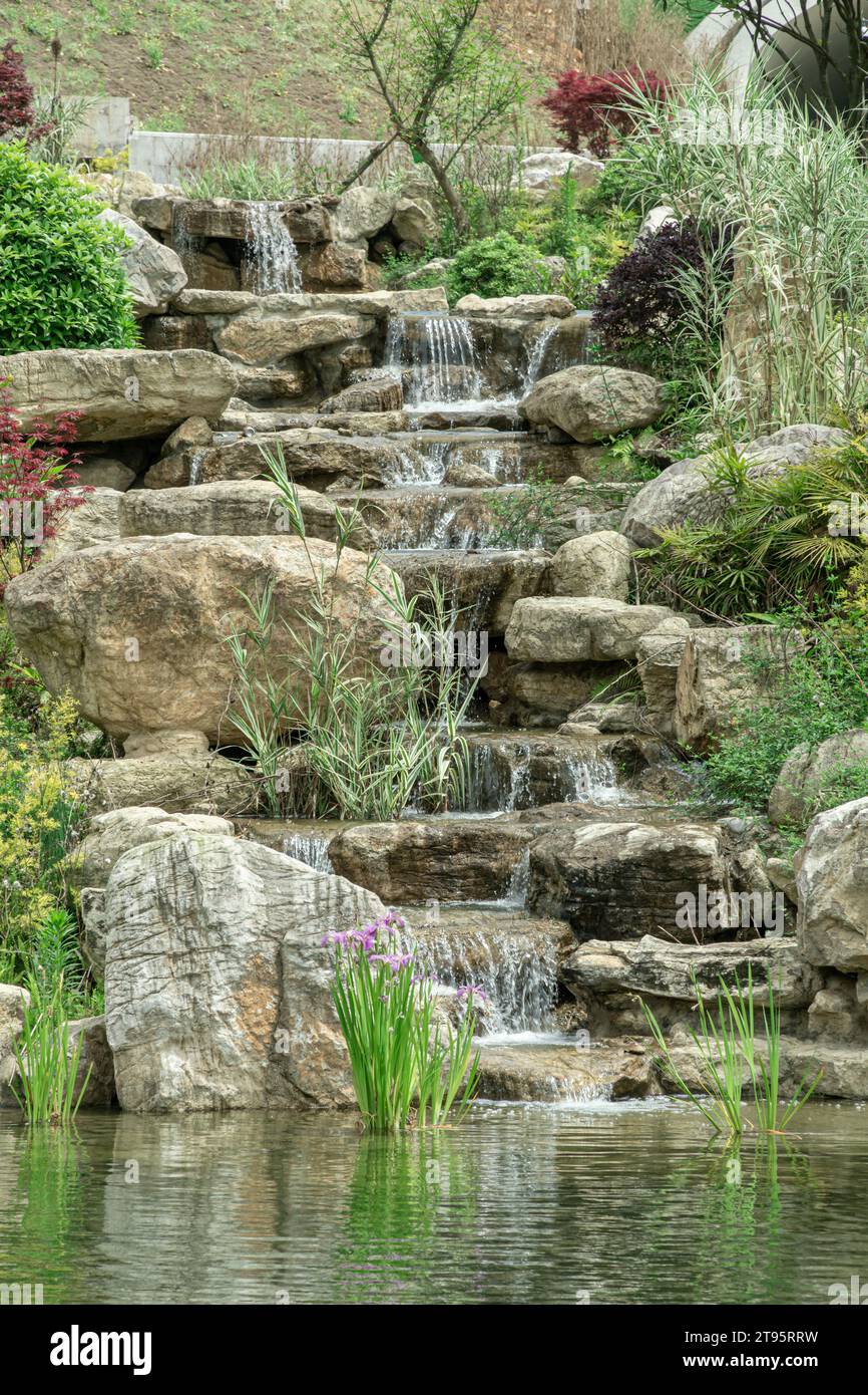 The Ecological Environment in Urban Parks Stock Photo - Alamy