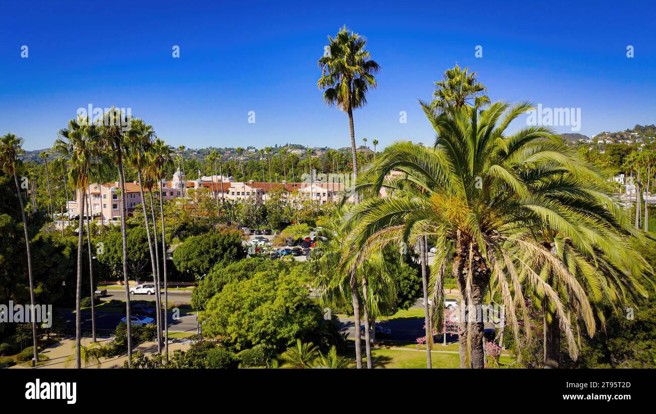 The famous Palm Trees of Beverly Hills - aerial view - Los Angeles ...