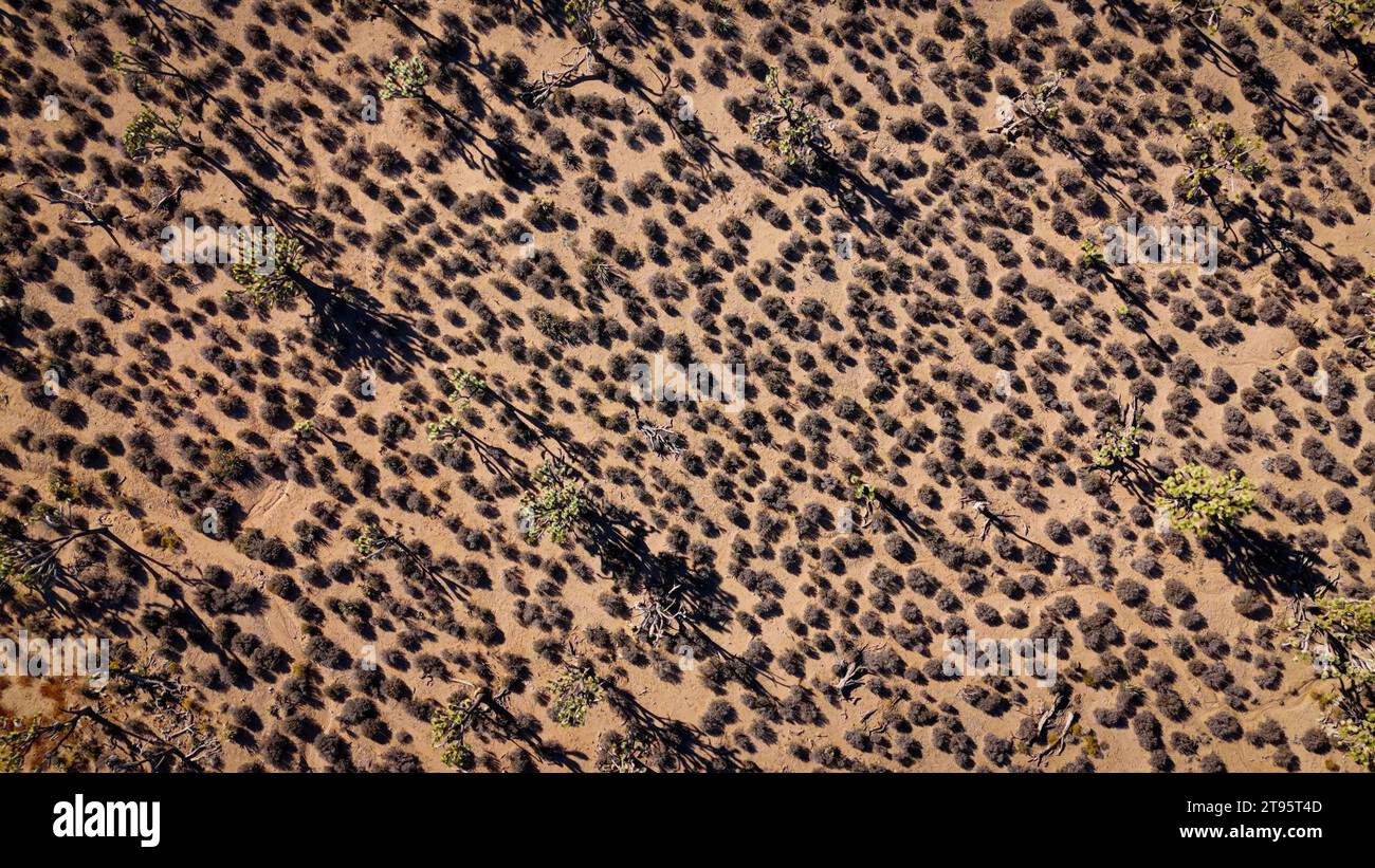 The wide rural landscape of the Arizona desert - aerial view from above ...