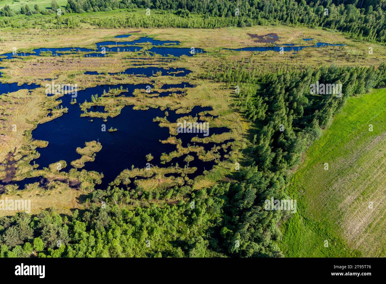 Aerial view of a swamp on the site of a former peat bog Stock Photo - Alamy