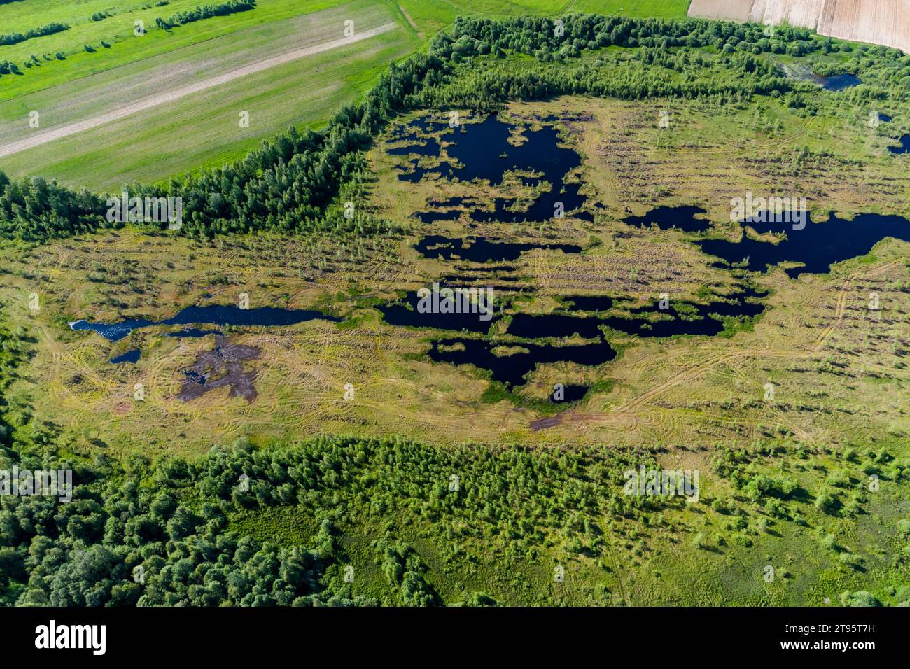 Aerial view of a swamp on the site of a former peat bog Stock Photo - Alamy