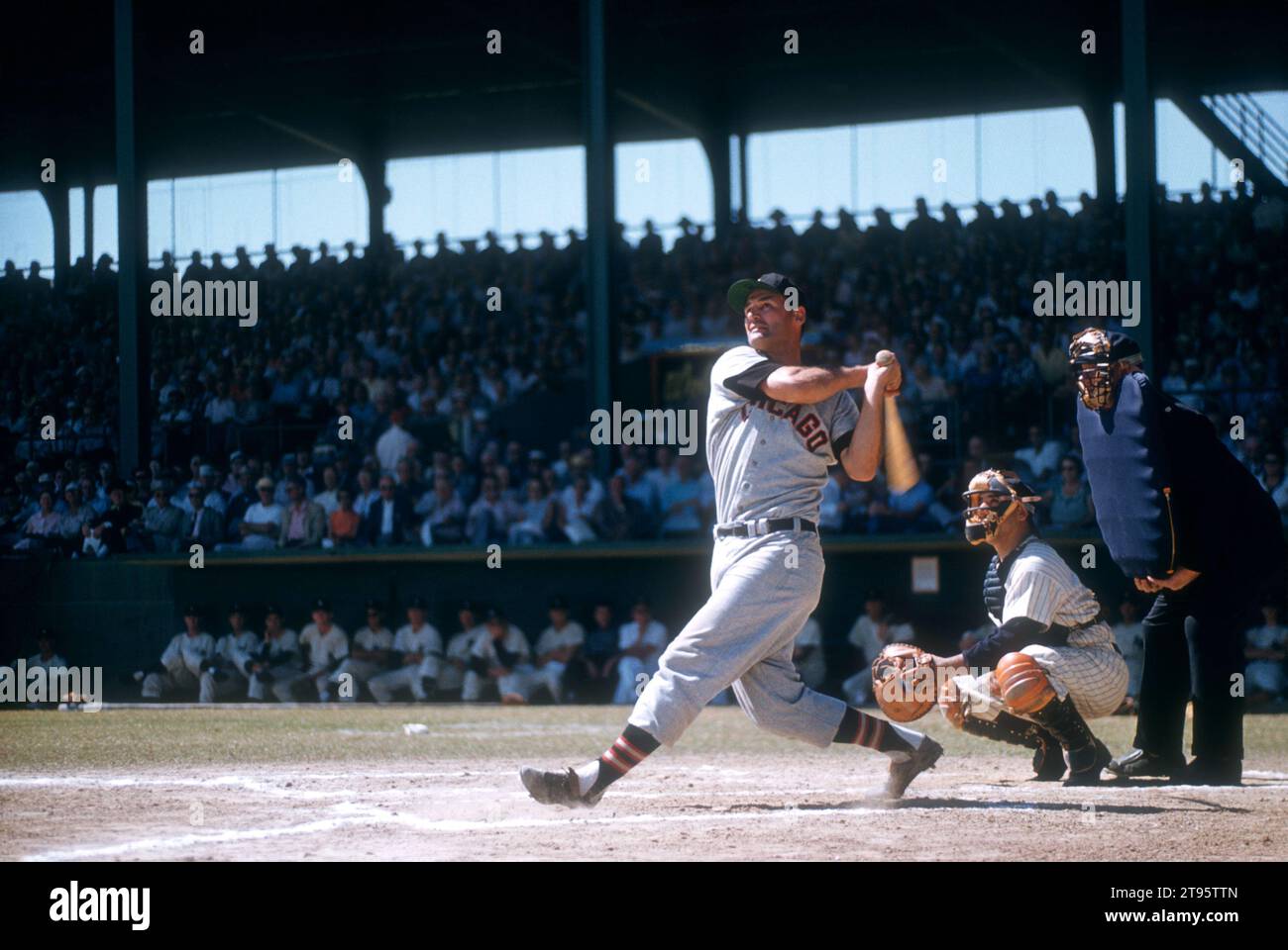 FL - MARCH, 1956: Walt Dropo #8 of the Chicago White Sox swings at the ...