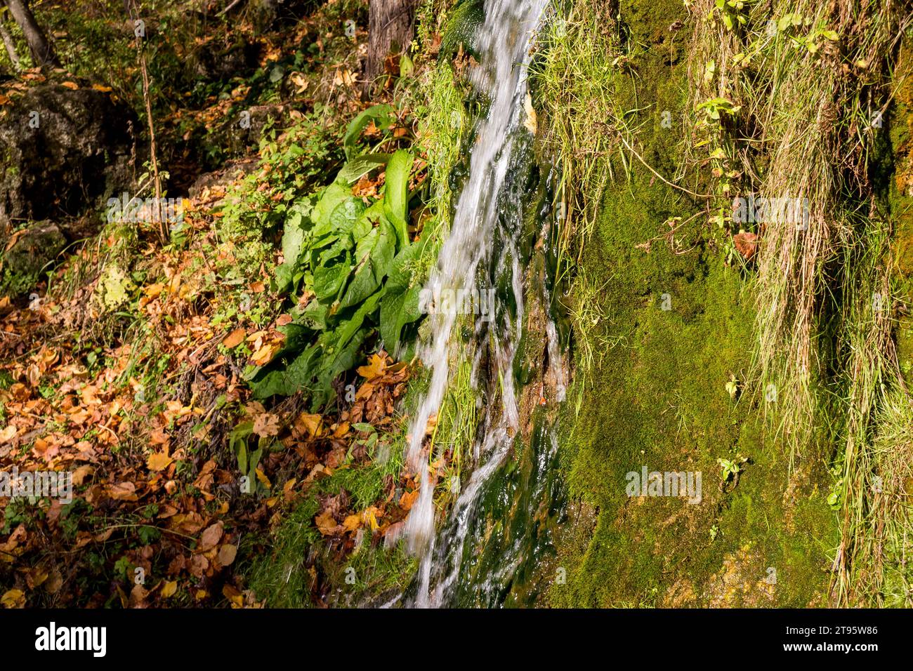 A colorful picturesque small waterfall running along a steep slope ...
