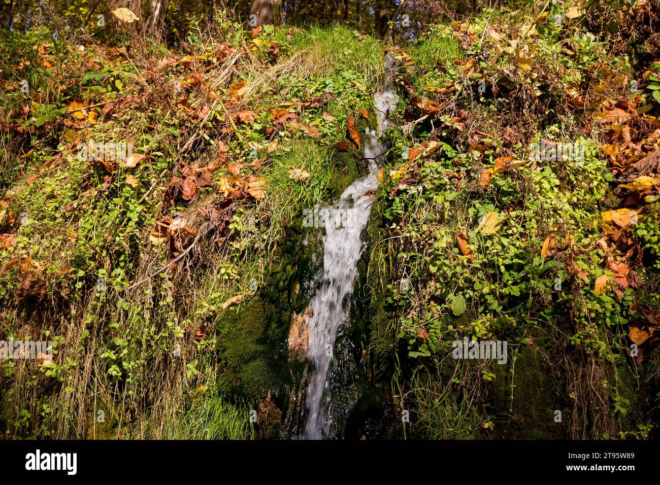 A colorful picturesque small waterfall running along a steep slope ...