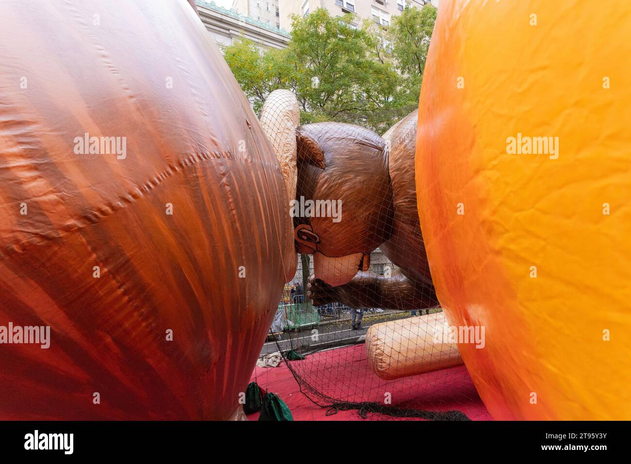 Members of the Macy's inflation team work on giant balloons as they ...