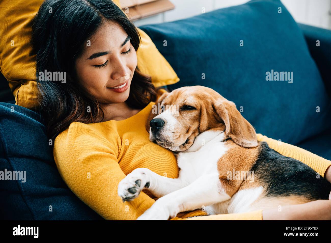 A woman and her Beagle dog nap together on the sofa, showcasing a ...