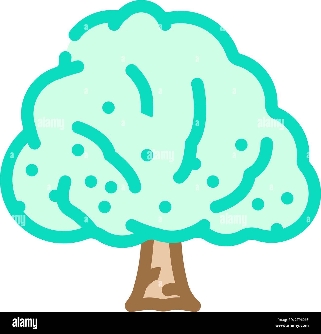 Custard apple tree view Stock Vector Images - Alamy