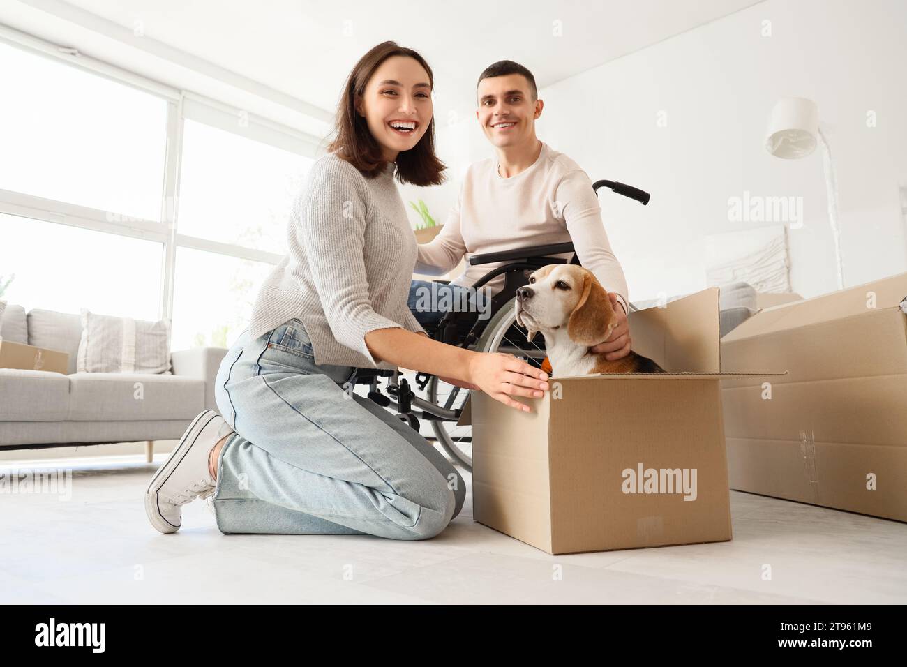 Young man in wheelchair and his wife with Beagle dog on moving day ...