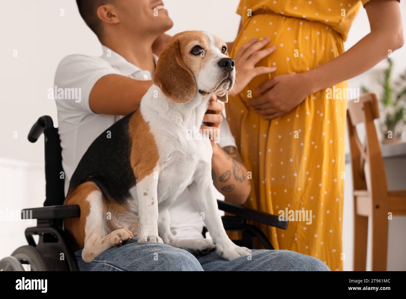 Pregnant wife happy husband dog hi-res stock photography and images - Alamy