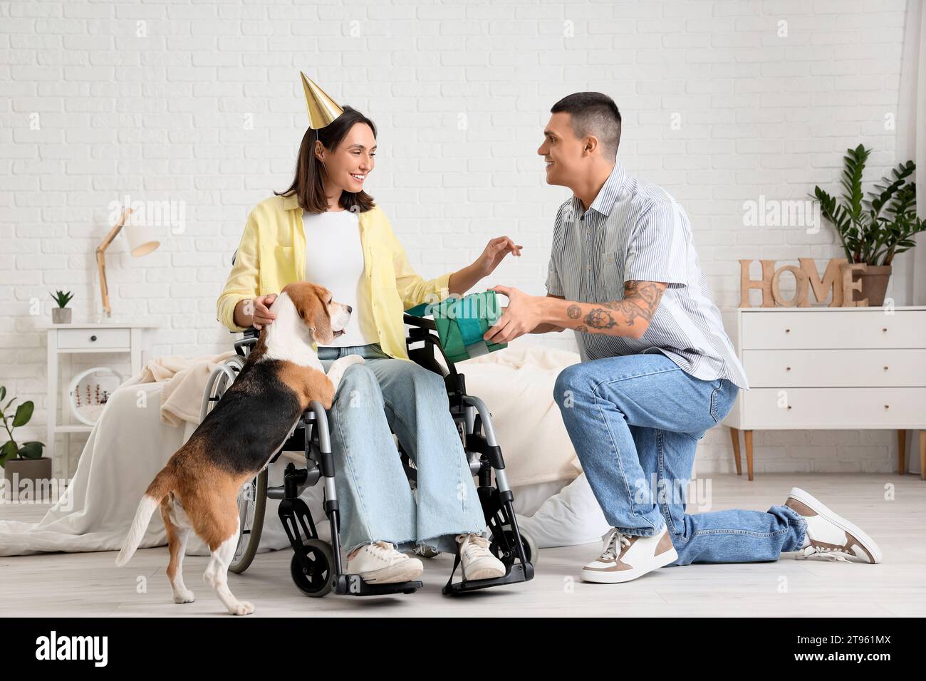 Young man with his wife in wheelchair and Beagle dog celebrating ...