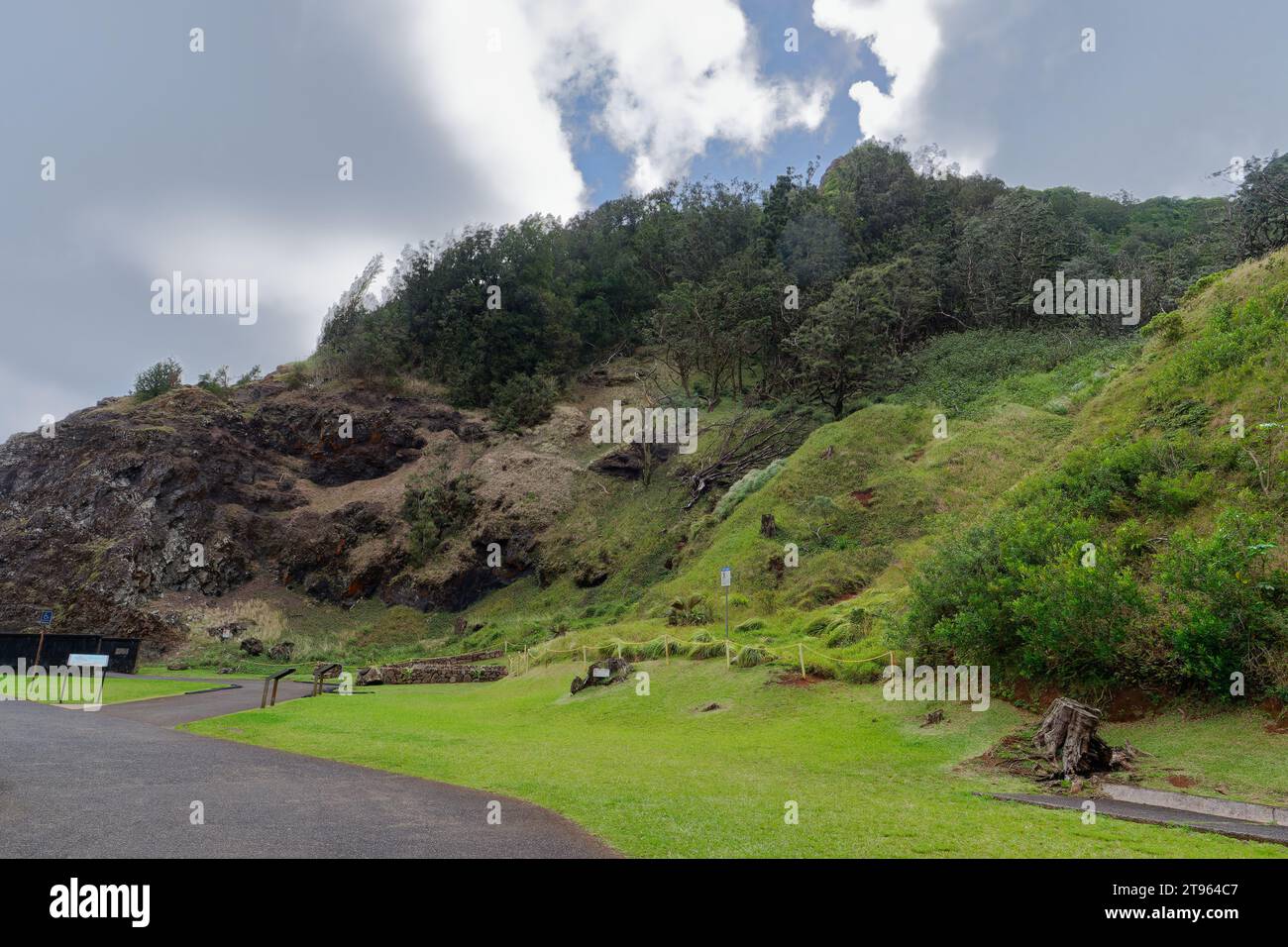 A scenic pathway winds its way through a vibrant landscape of lush ...
