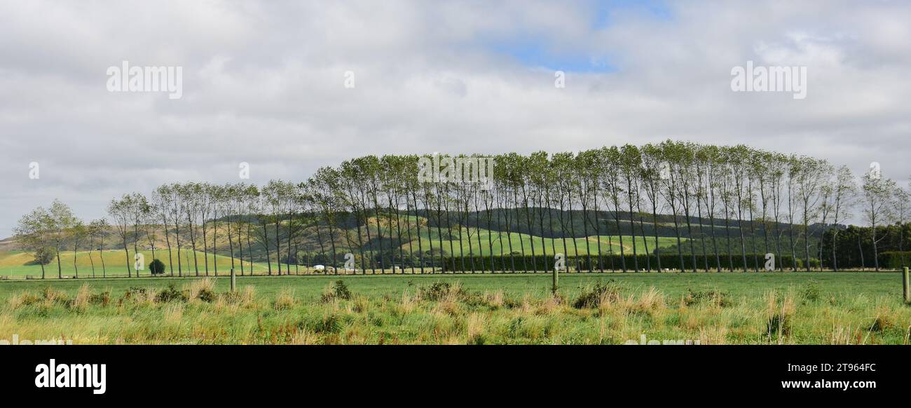 Rural ranch lands hi-res stock photography and images - Alamy