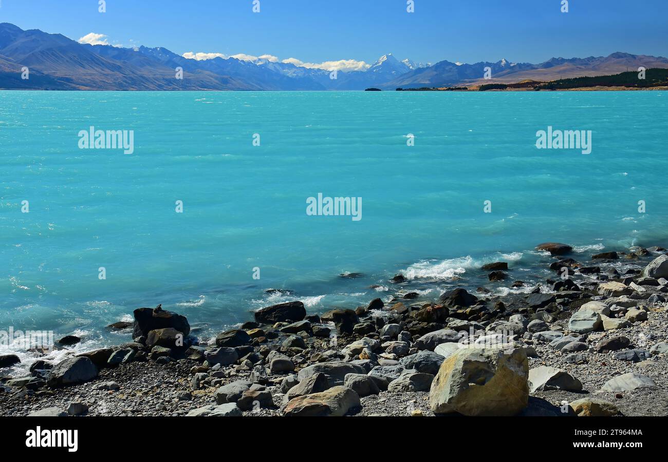 mount cook on a sunny summer day, across rocky shoreline of turquoise ...