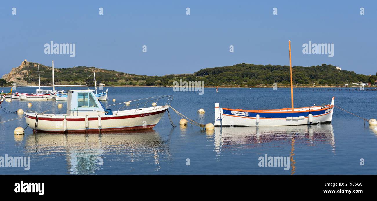 Typical colorful Mediterranean boats in the Brusc lagoon Var Provence ...
