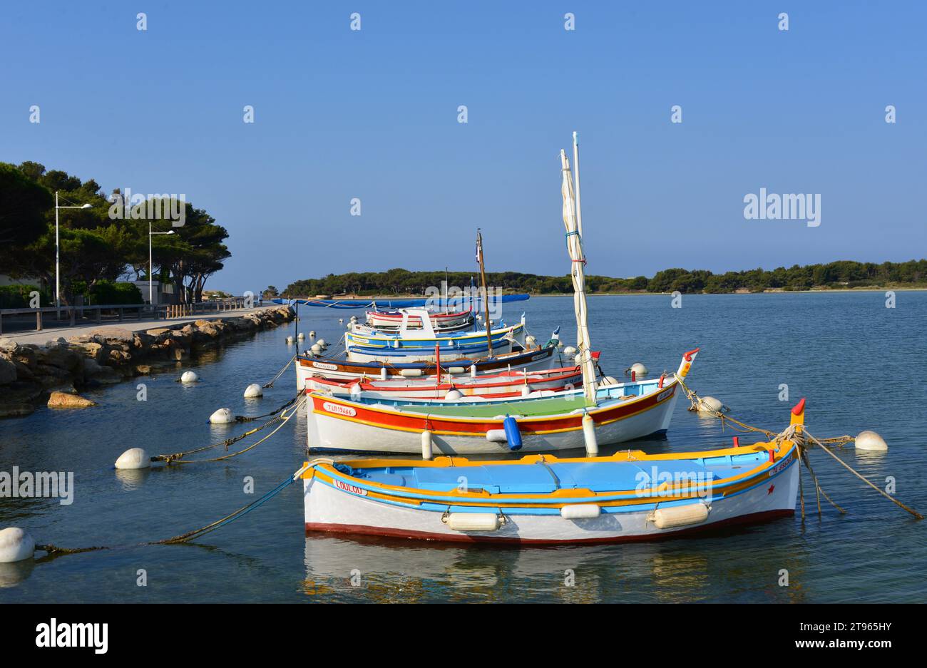 Typical colorful Mediterranean boats in the Brusc lagoon Var Provence ...