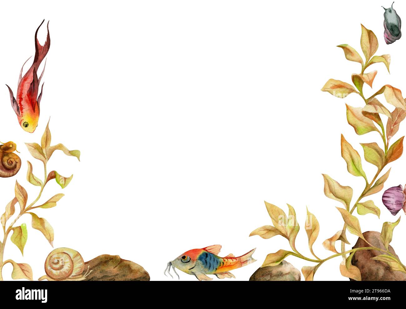 Hand drawn watercolor aquarium fish, algae and sealife. Marine exotic ...