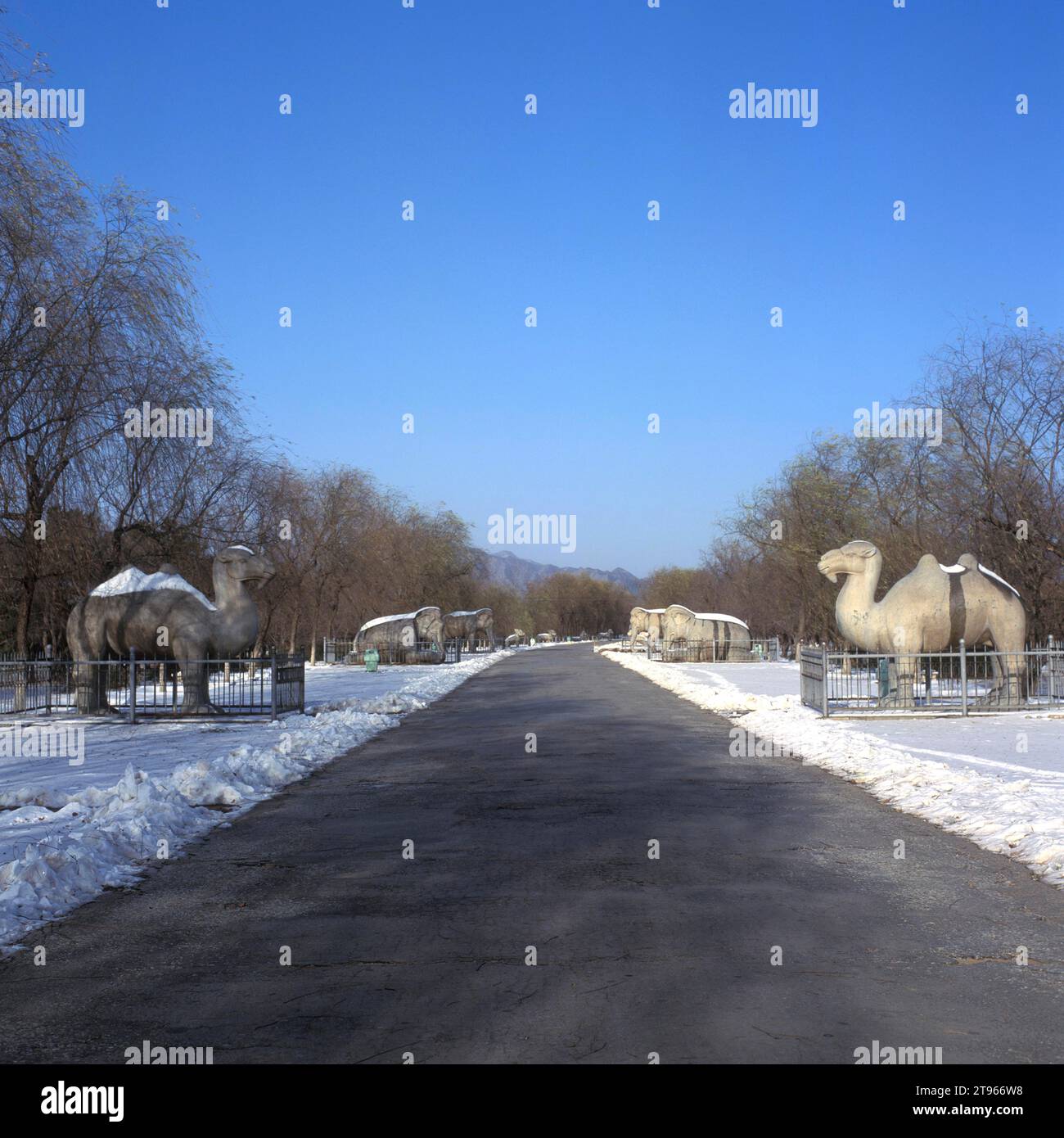 Xiang dao hi-res stock photography and images - Alamy