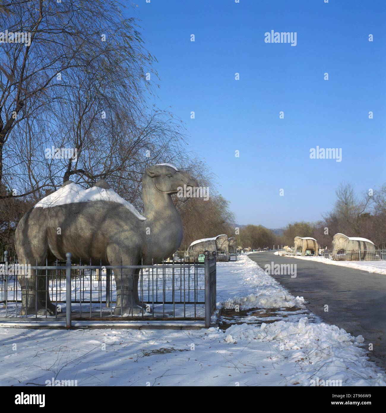China, Beijing: Surroundings: Ming Tombs (Ming Shisan Ling), Avenue of ...