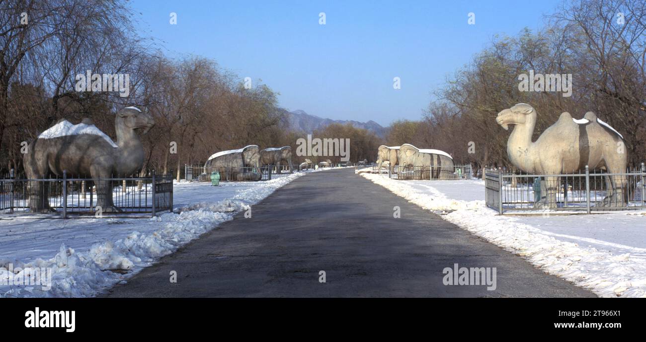 China, Beijing: Surroundings: Ming Tombs (Ming Shisan Ling), Avenue of ...