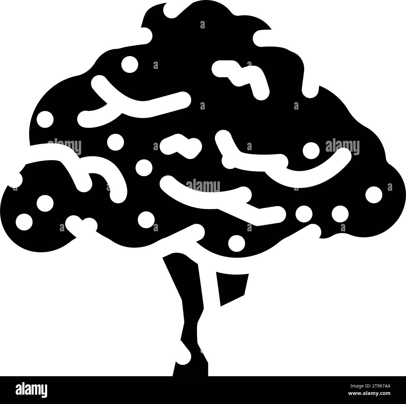 macadamia tree jungle amazon glyph icon vector illustration Stock ...