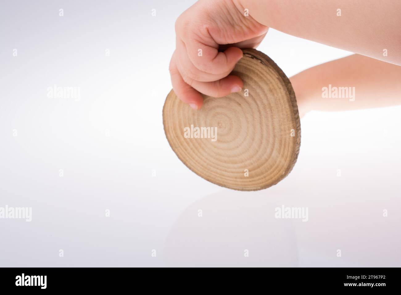 Wood Log cut in round thin pieces in hand on a white background Stock ...