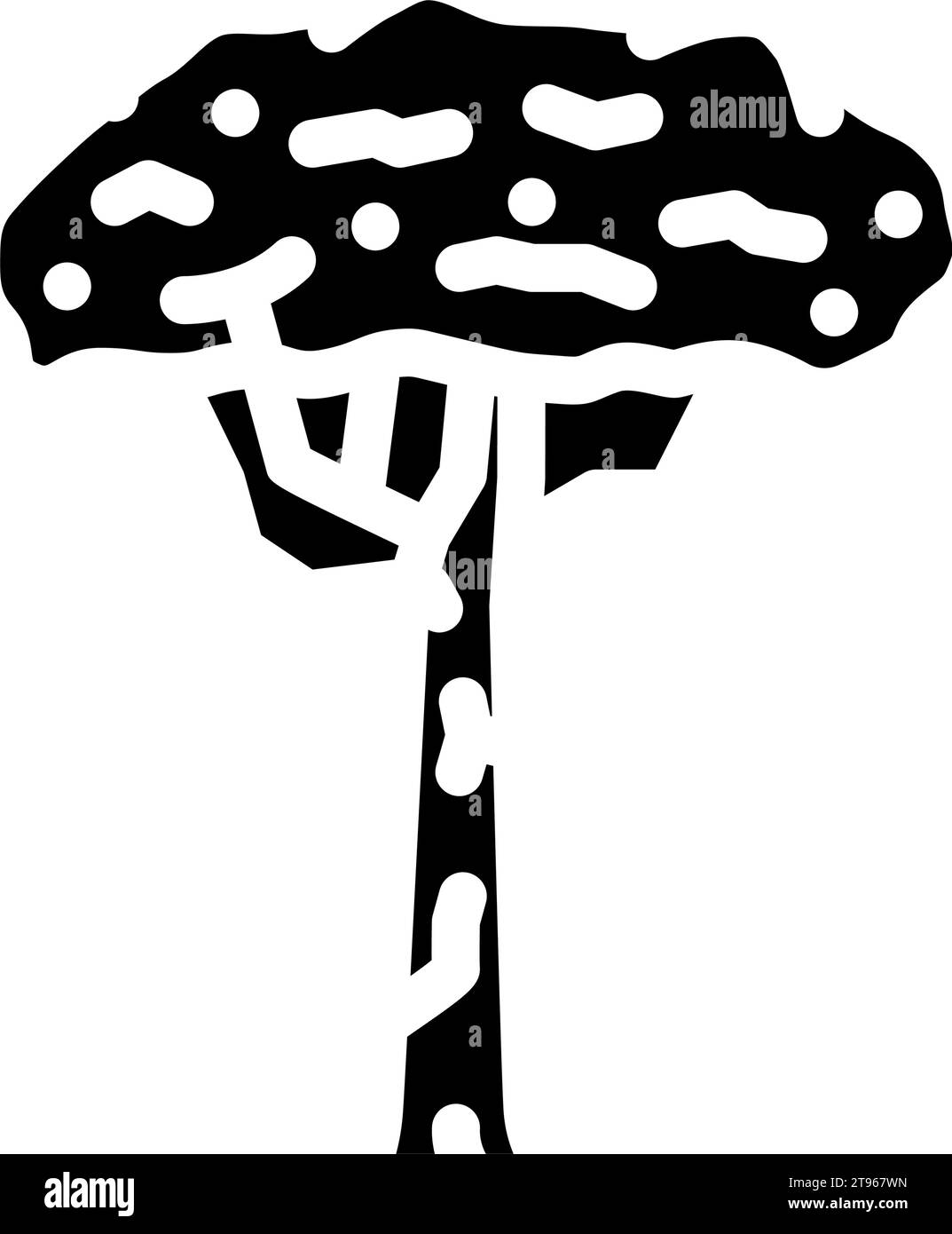 Brazil nut tree Stock Vector Images - Alamy