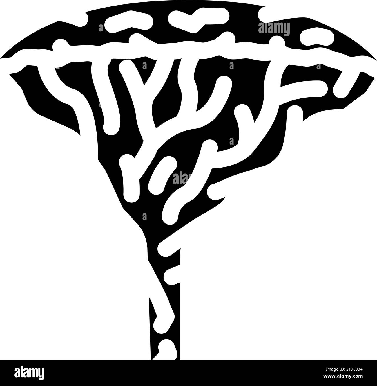 Dragon blood tree forest Stock Vector Images - Alamy