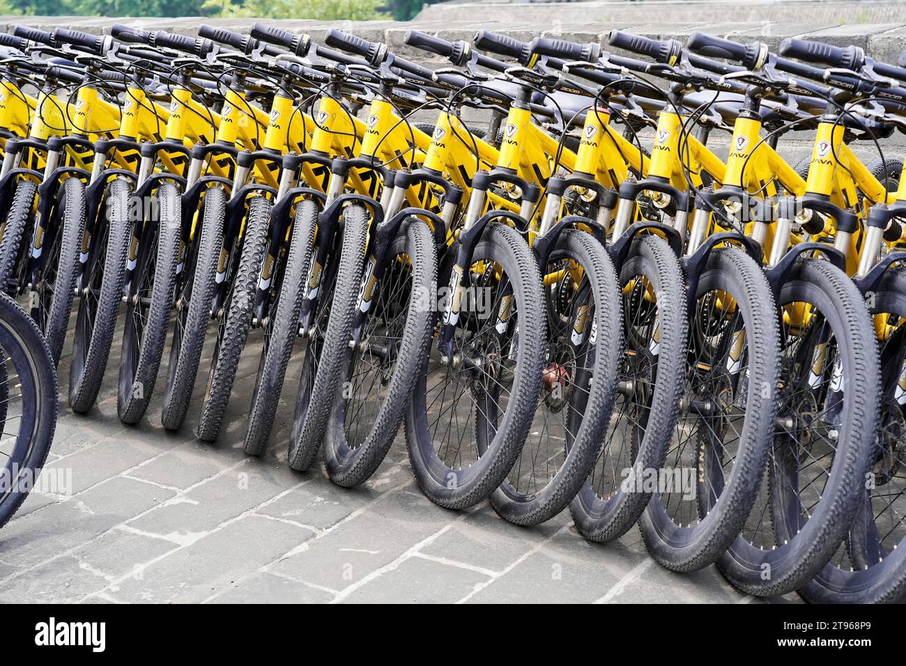 Rental bikes in Yian, China Stock Photo - Alamy