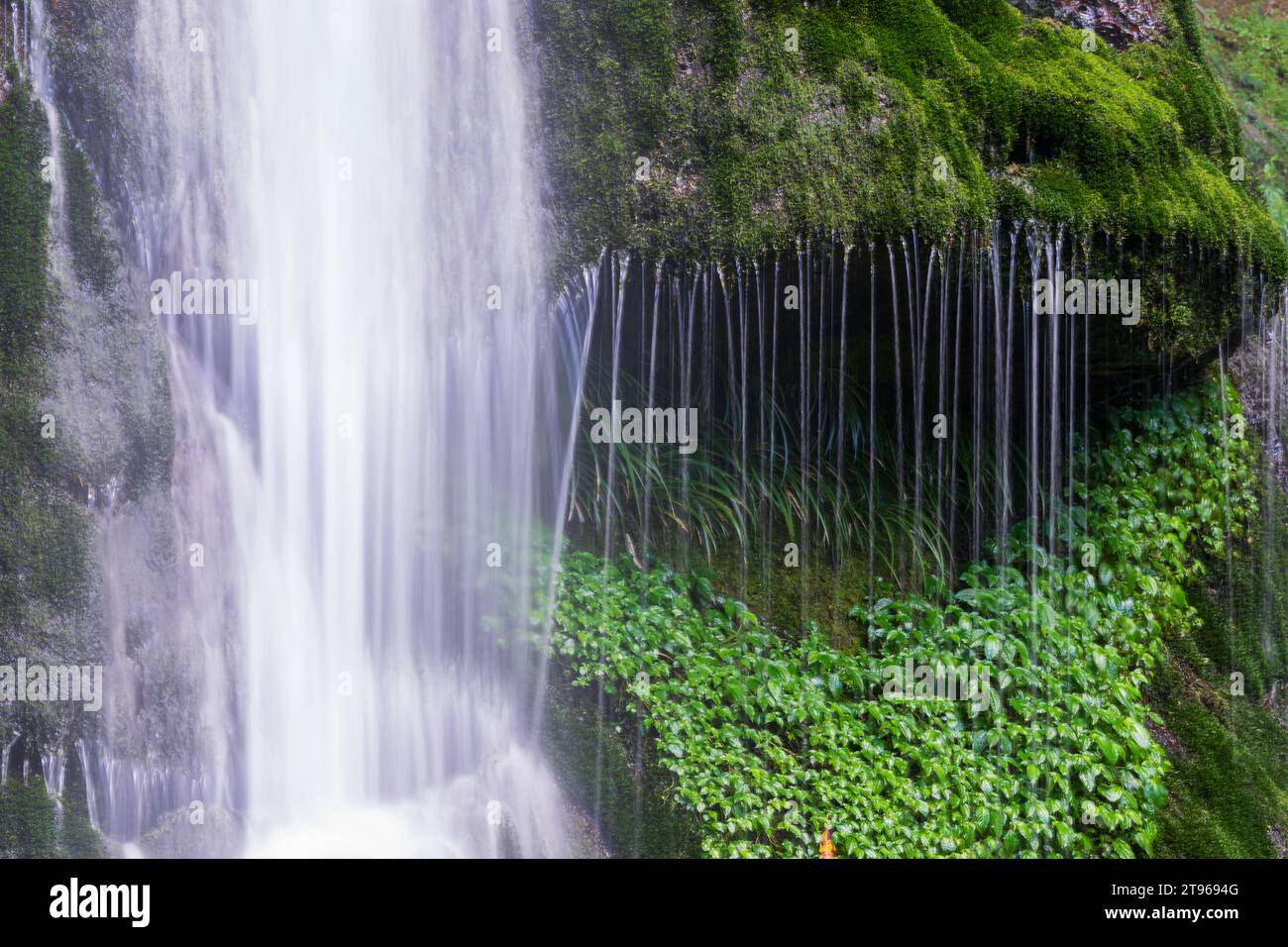 A waterfall with abundant water flow in winter. White silver chain. Sun ...