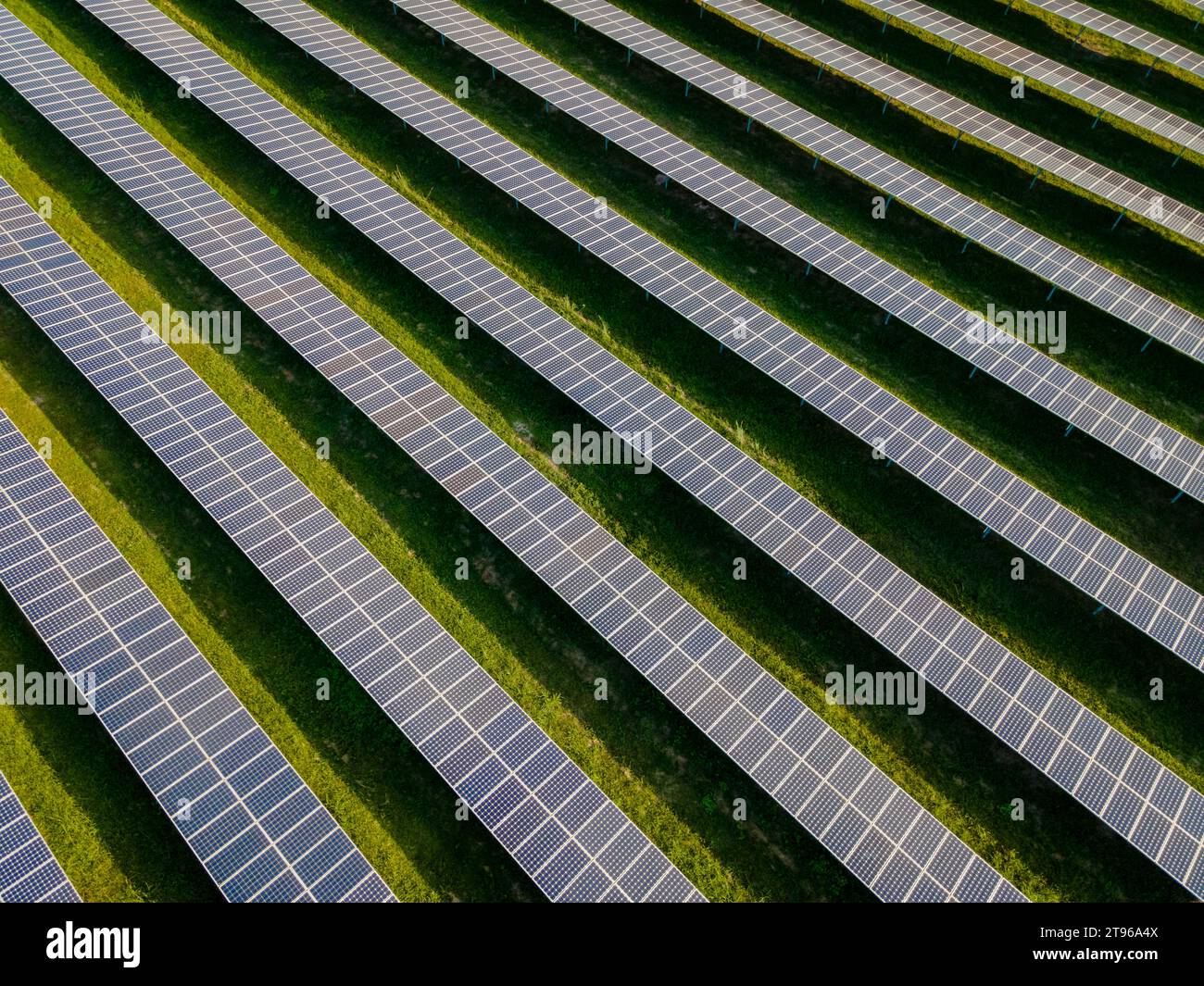 Sun power solar panel fields in Thailand in the evening light, Solar ...