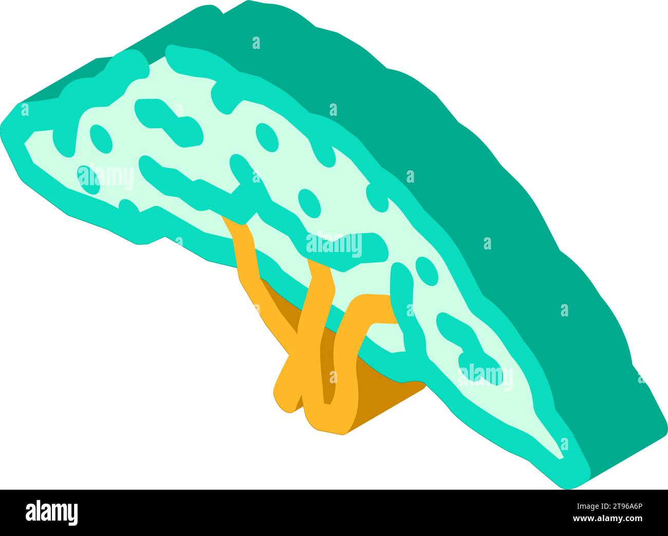 guava tree jungle amazon isometric icon vector illustration Stock ...