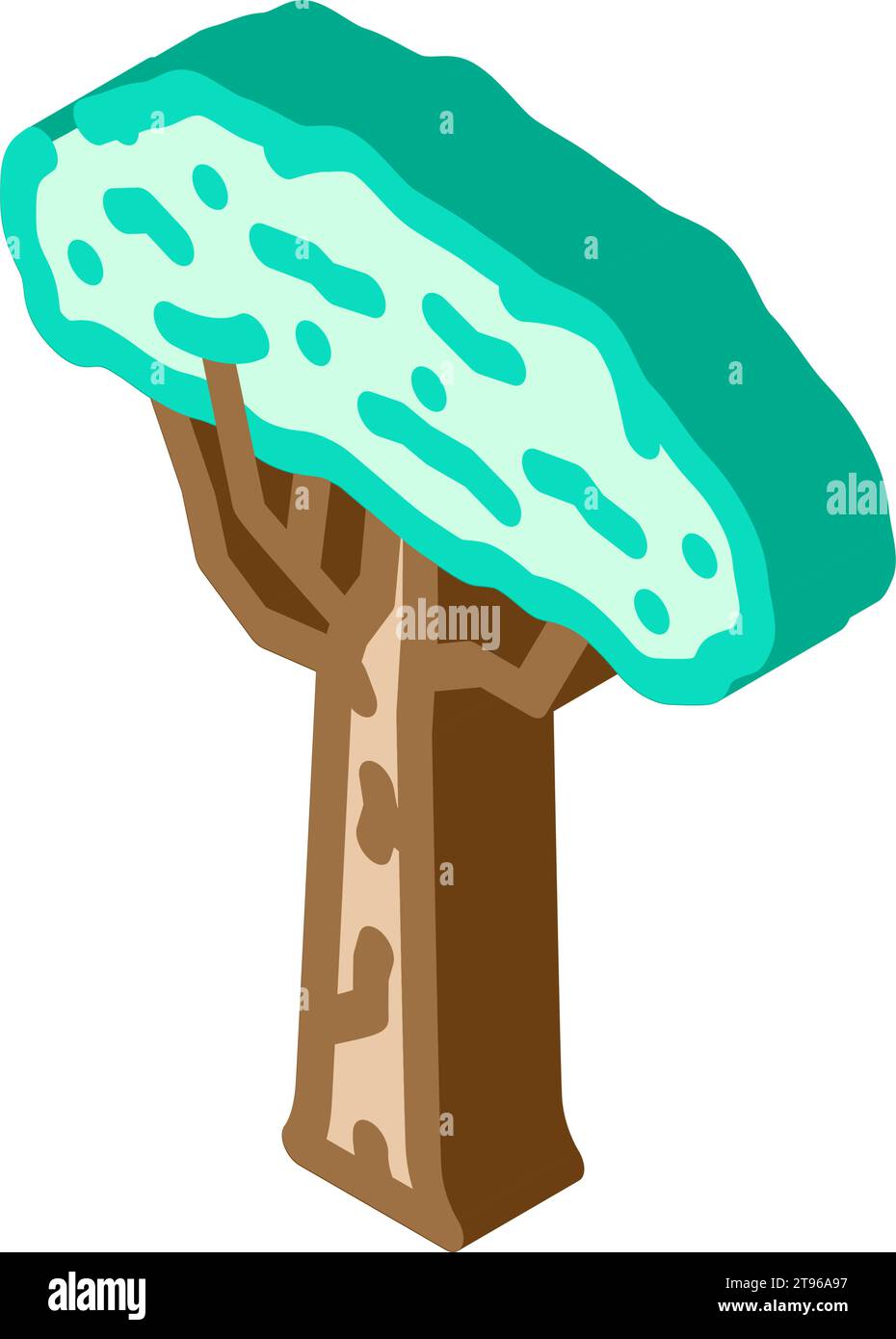 brazil nut tree isometric icon vector illustration Stock Vector Image ...