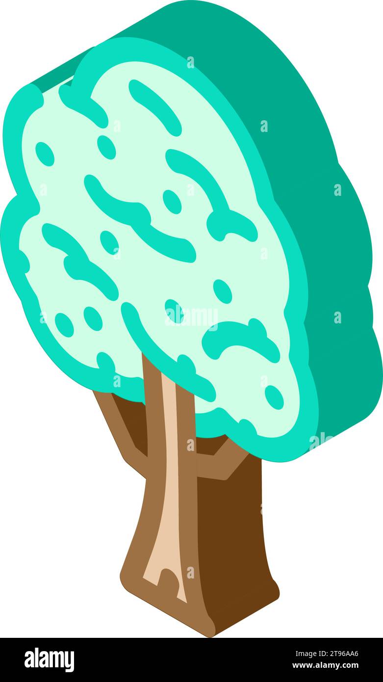 padauk tree jungle amazon isometric icon vector illustration Stock ...