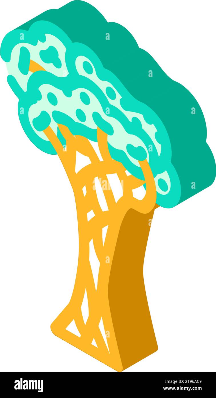 Strangler fig tree amazon hi-res stock photography and images - Alamy