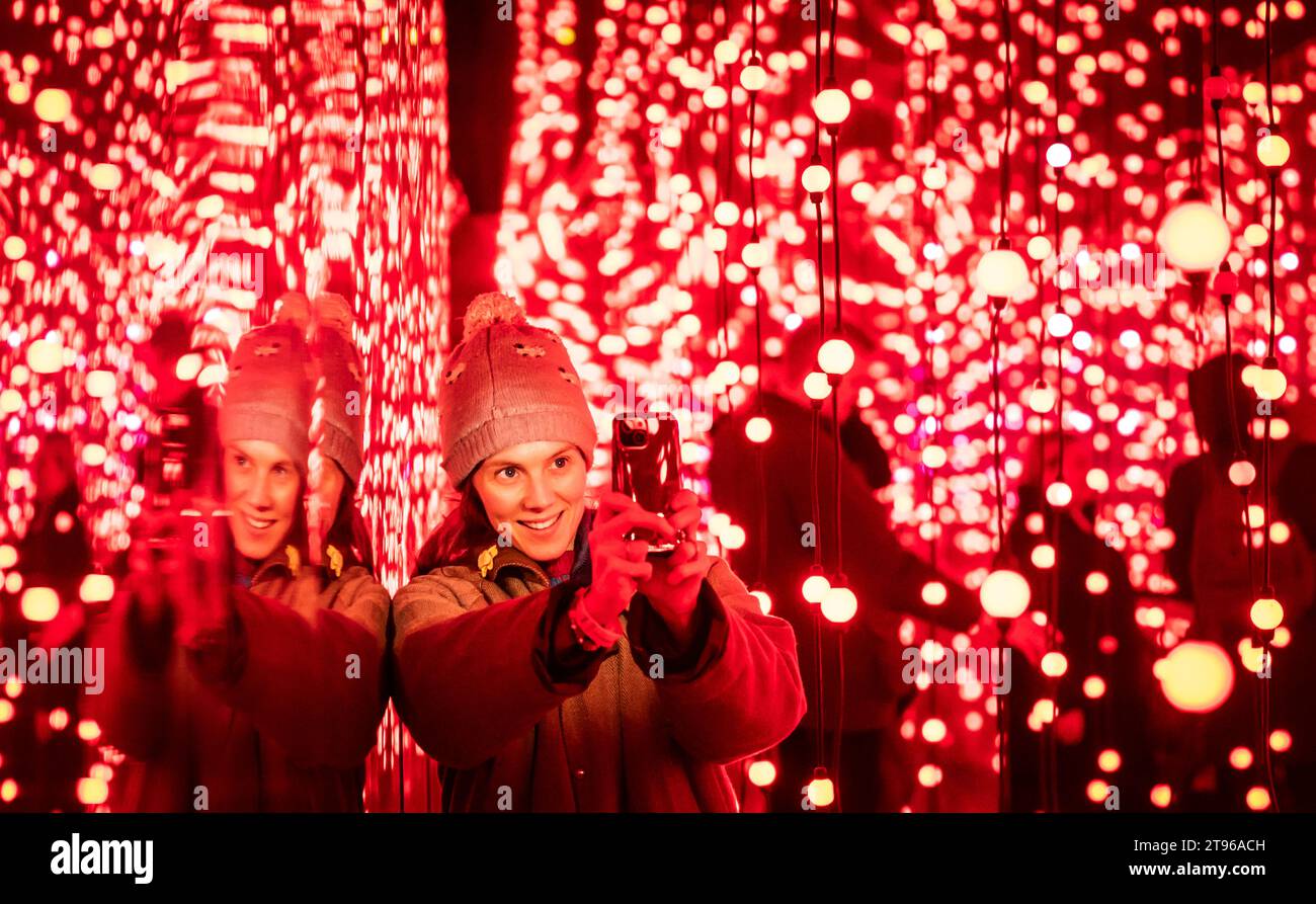 Lucy Rogers explores the Enchanted Forest and Winter Illuminations at ...