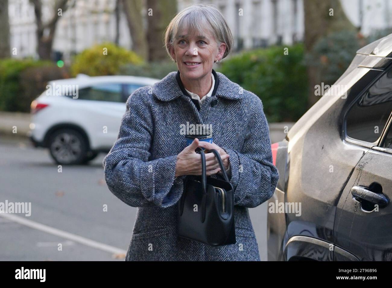 Professor dame angela mclean hi-res stock photography and images - Alamy
