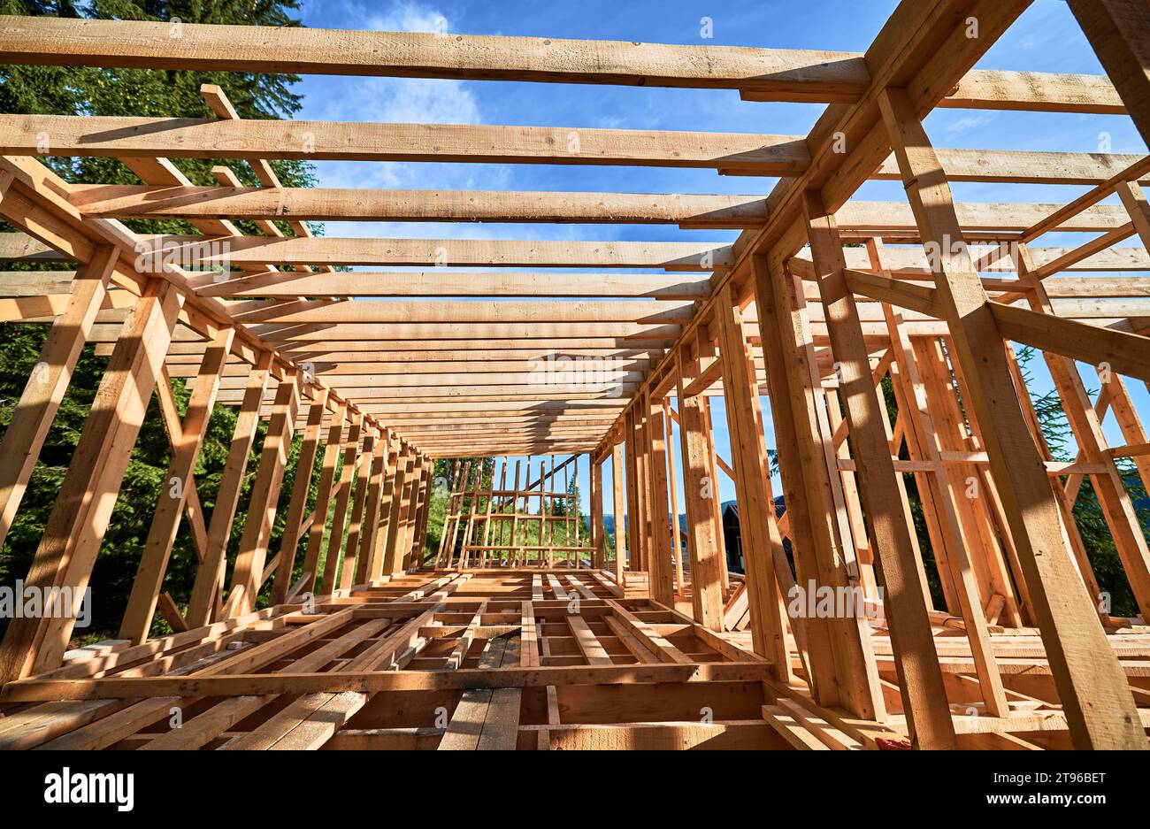 Residential wooden frame building in progress near a forest. Start of ...