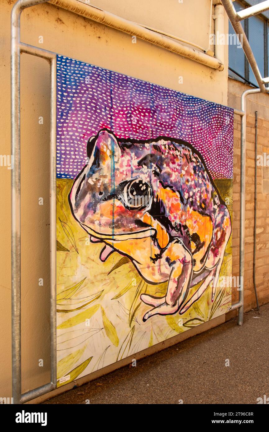 Frog Street Art in Laneway, Swan Hill, Victoria, Australia Stock Photo ...