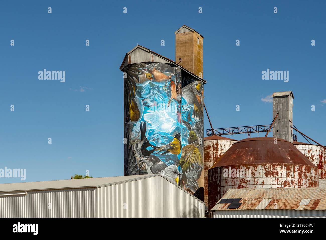 Birds of Australia Silo Art, Murtoa, Victoria, Australia Stock Photo ...