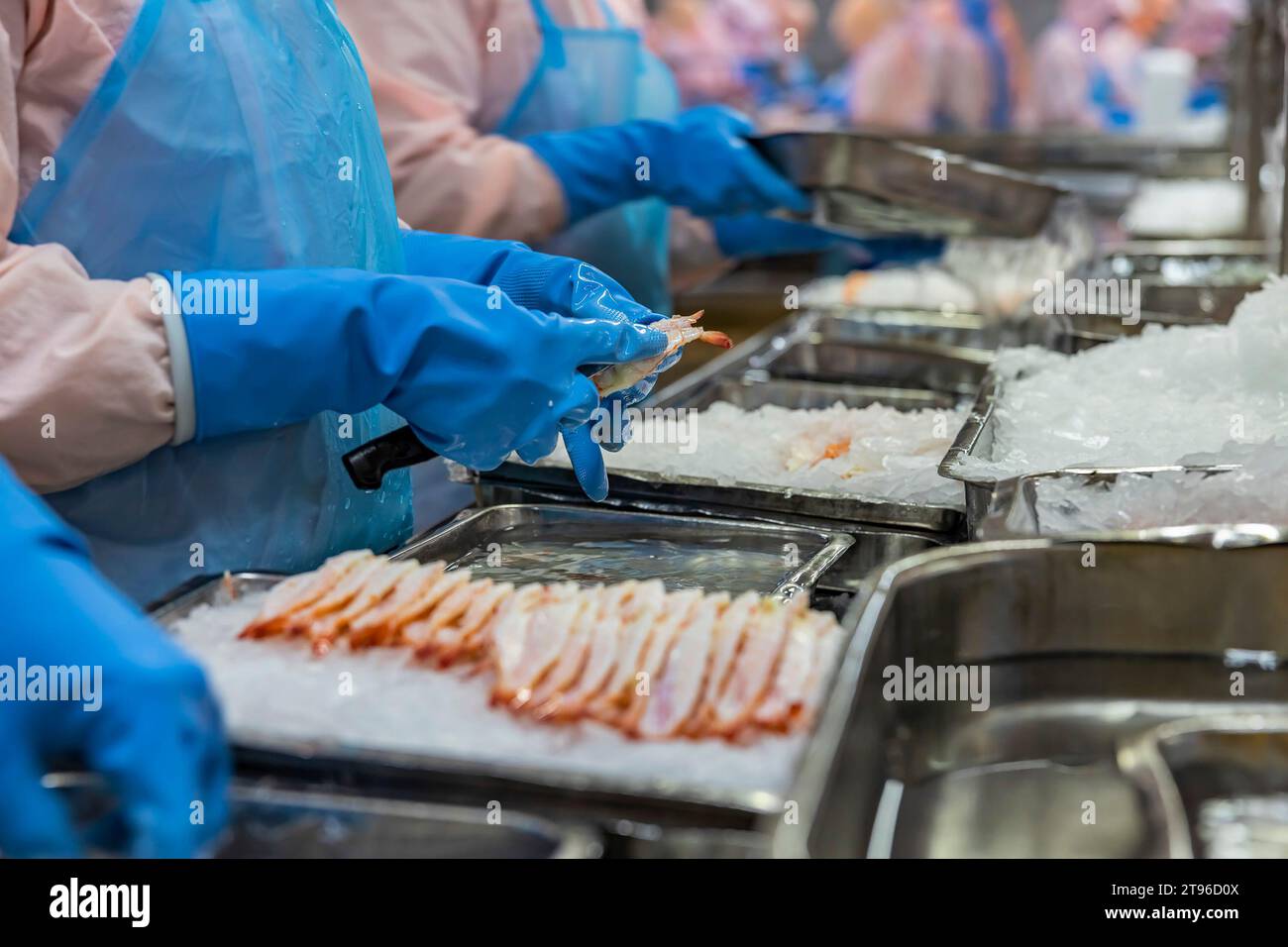 Process shrimp at factory in Vietnam Stock Photo - Alamy