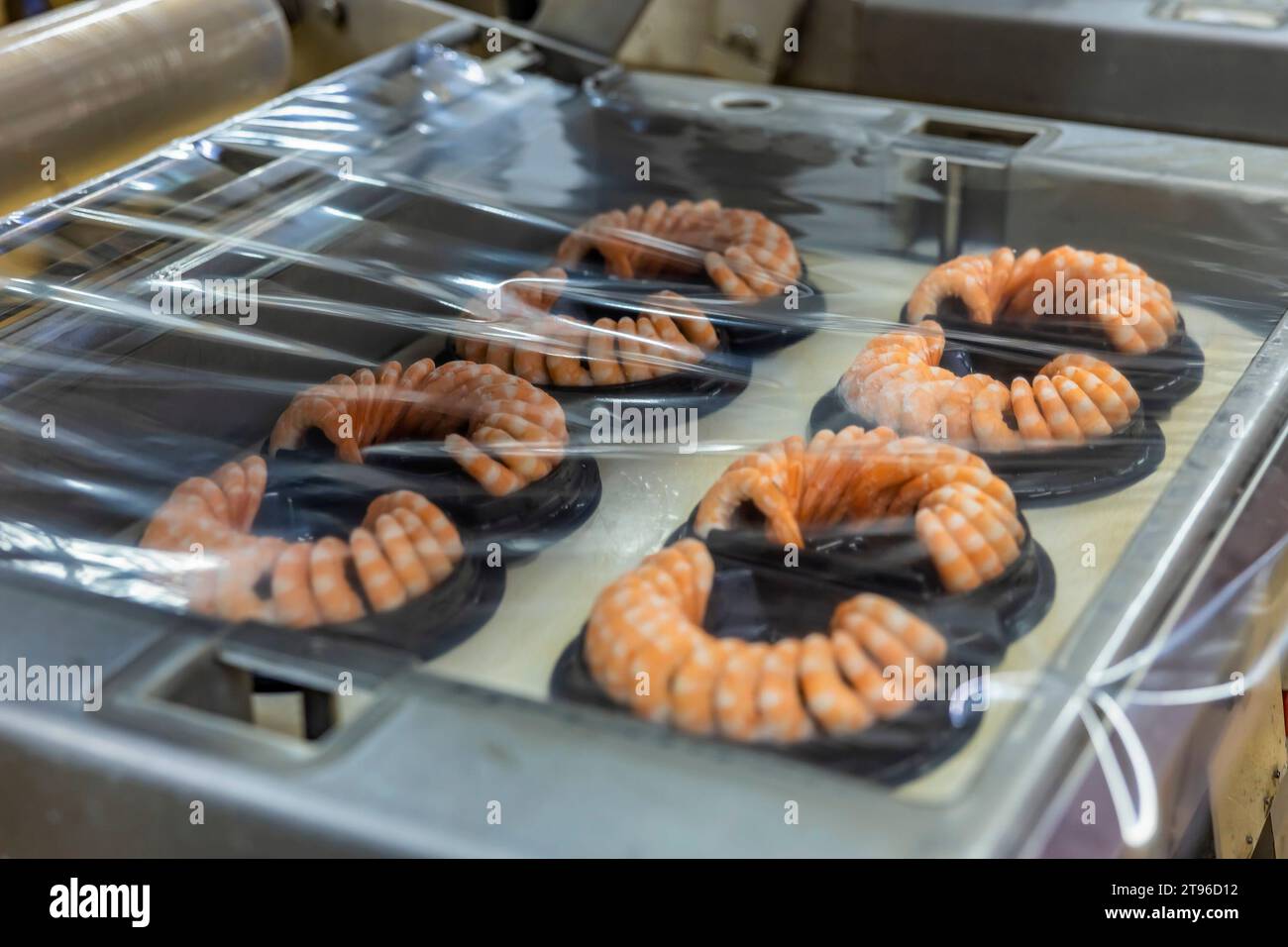 Process shrimp at factory in Vietnam Stock Photo - Alamy