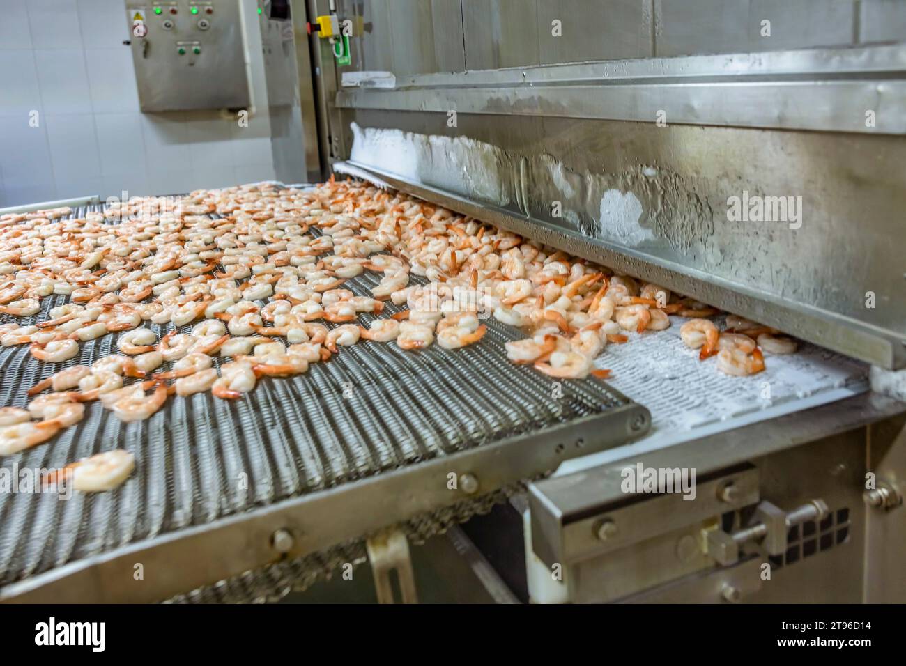 Process shrimp at factory in Vietnam Stock Photo - Alamy