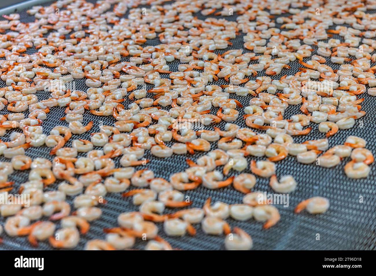 Process shrimp at factory in Vietnam Stock Photo - Alamy
